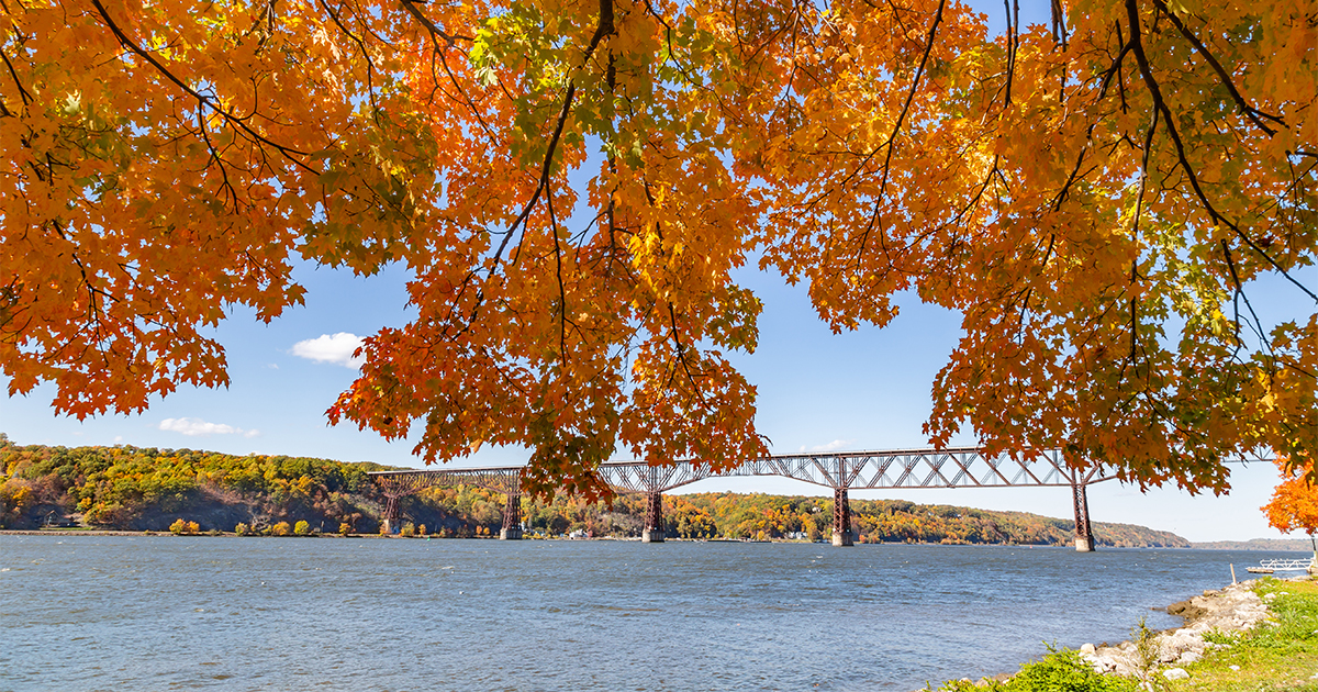 Where Are the Trees? A Town-by-Town Look at Hudson Valley Tree Canopy ...